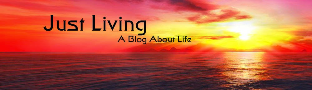 Just Living just-living