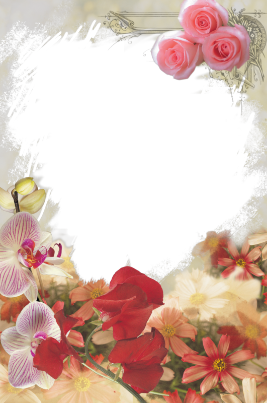 Frames verticales png - Imagui