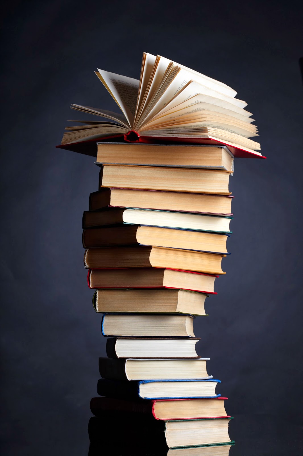 Amedeo Liberatoscioli: Arredare con i LIBRI Amedeo Liberatoscioli: Arredare con i LIBRI
