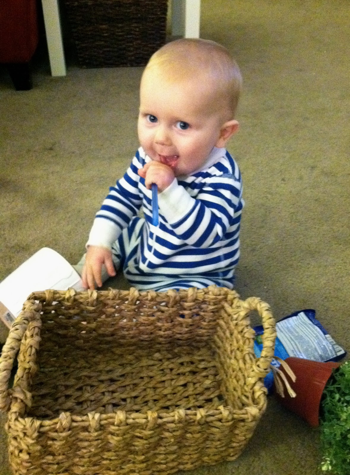 The Activity Mom Sensory Activities For Babies The Activity Mom the-activity-mom-sensory-activities-for-babies-the-activity-mom