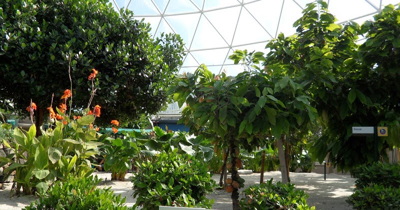 Picturing Disney: Living with the Land