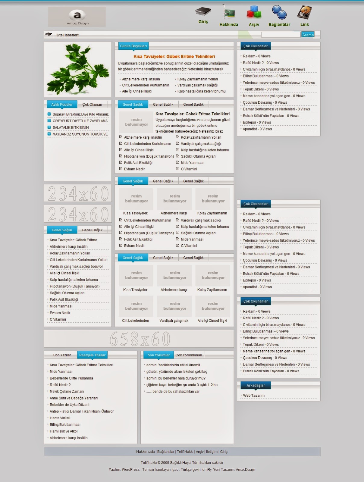 Wordpress Lin Teması - Script Hocasi