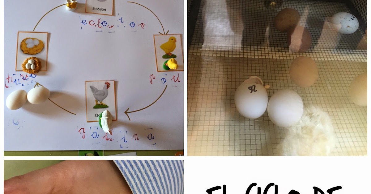 EL AULA DE LOS SOLES, UN AULA LIBRE DE FICHAS Y LIBROS DE TEXTO PARA ...