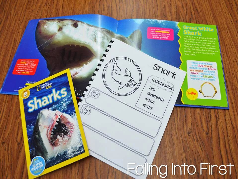 All About Ocean Life | Falling into First