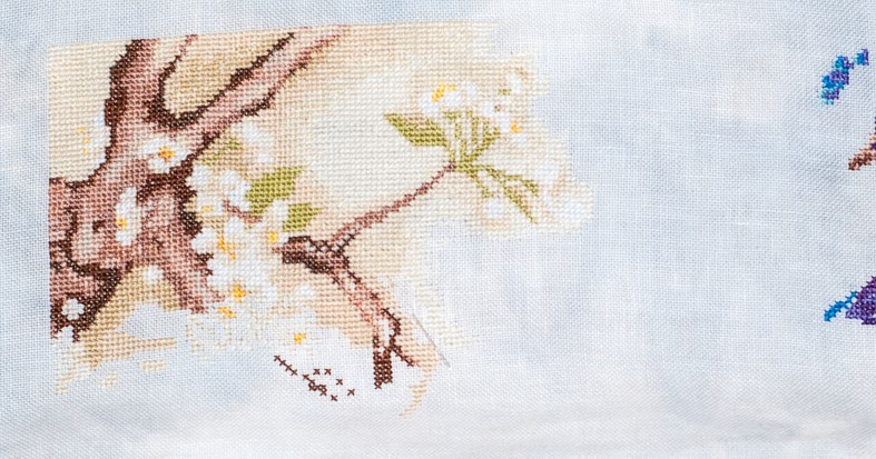 Committed Stitcher: Back And Forth