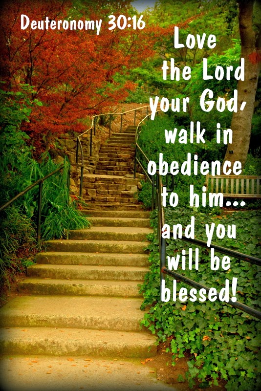 Walk in obedience and you will be blessed