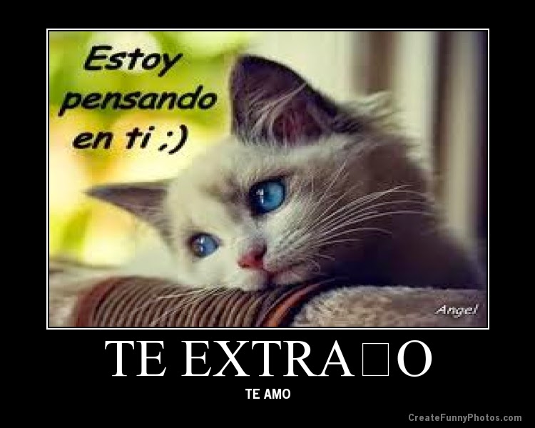 Imagenes te extra!o - Imagui