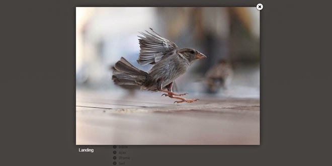Html Use: Lightcase - Smart and flexible Lightbox Plugin