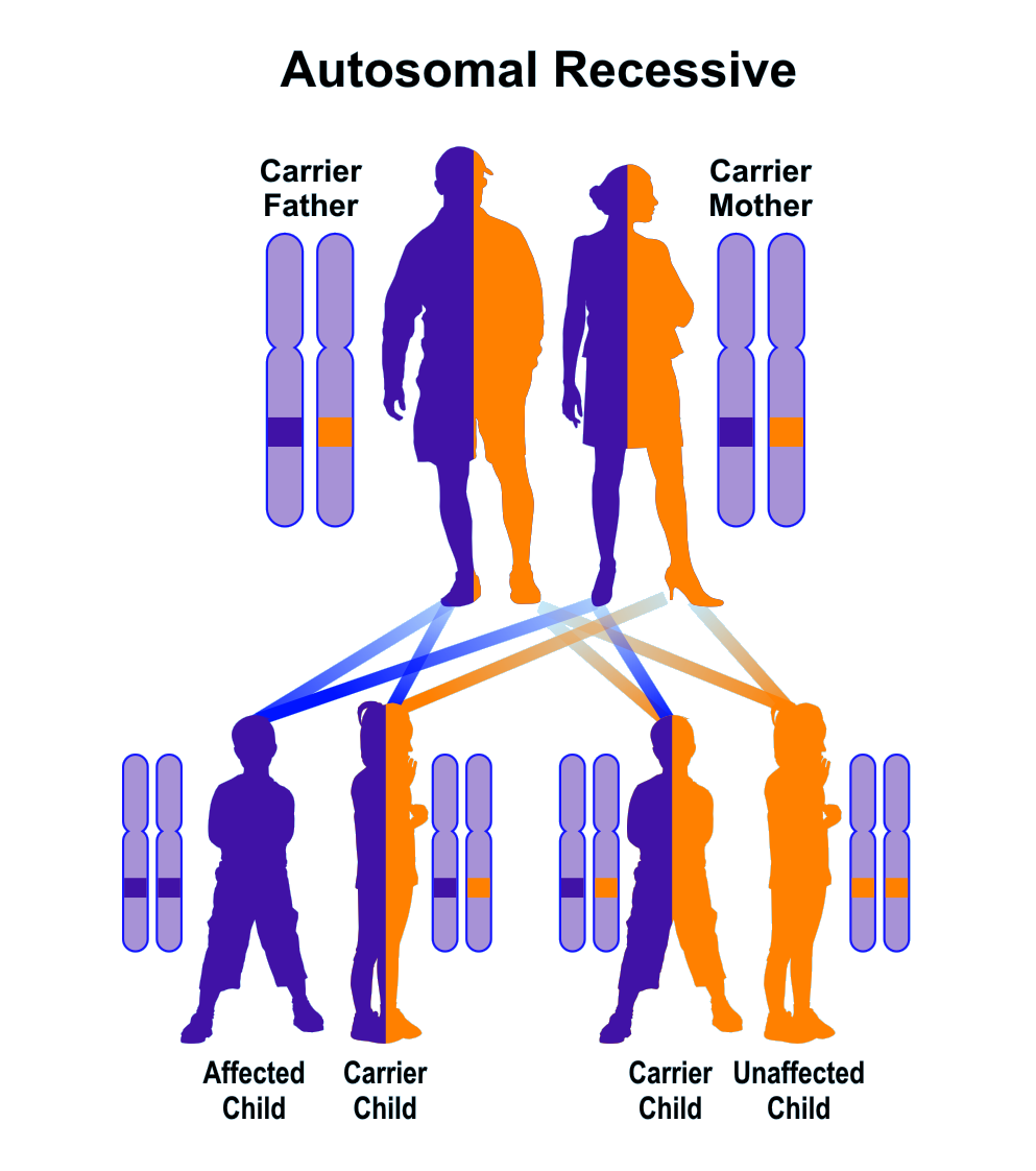 Medical Treatment Pictures for Better Understanding How medical-treatment-pictures-for-better-understanding-how