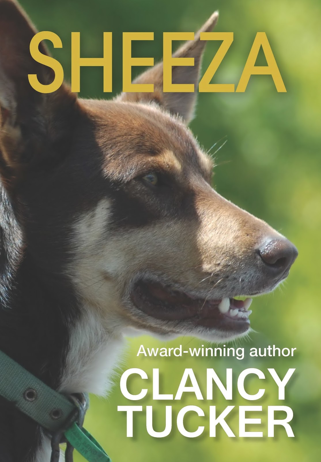 Buzz Words: Sheeza