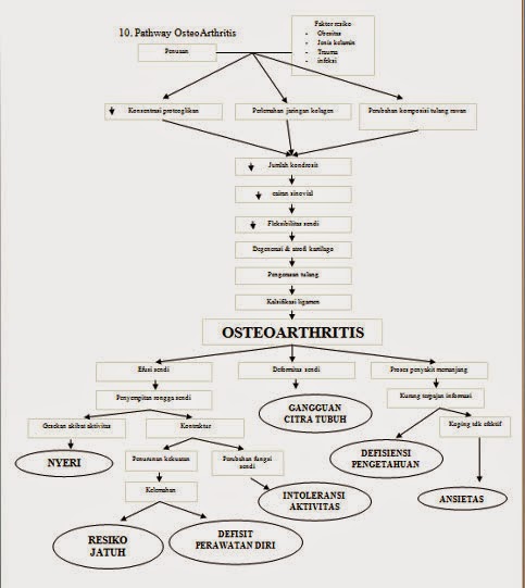 NursingBlog: LP Osteoarthritis