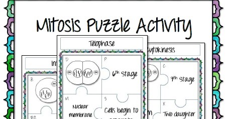 Mitosis Puzzle Activity Plant Cell Animal Cell Science Cells ...