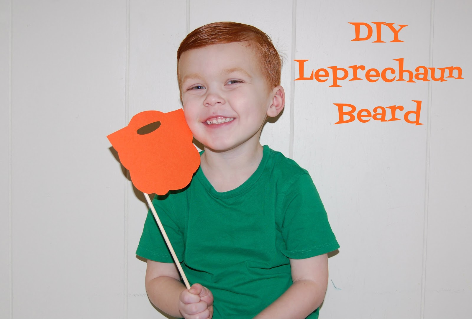 Whatever Dee-Dee wants, she's gonna get it: St Patrick's Day Leprechaun ...