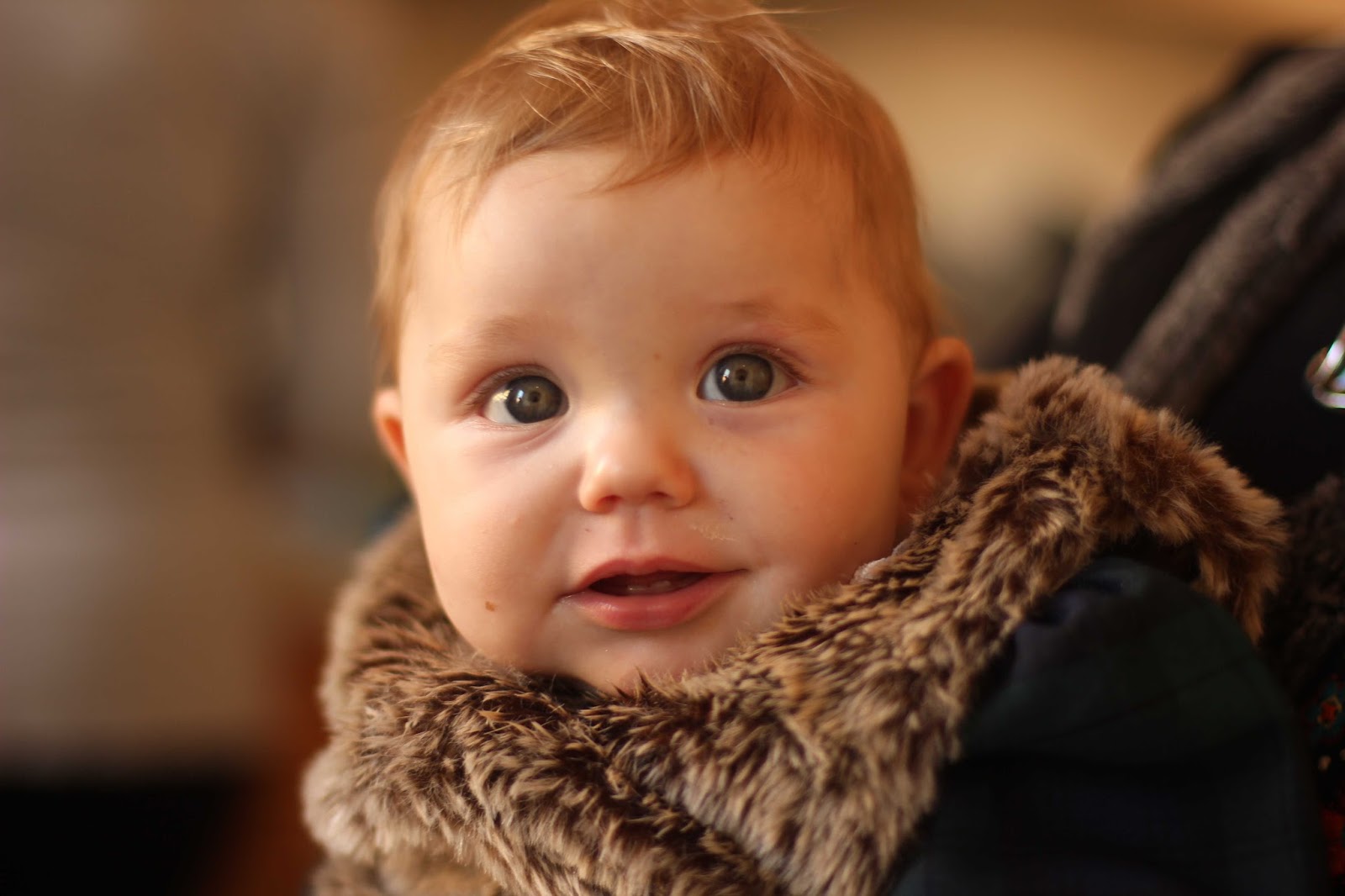 Wilder Littlest Eight Months wilder-littlest-eight-months