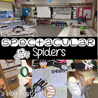 Spectacular Spiders! - Second Grade Stories