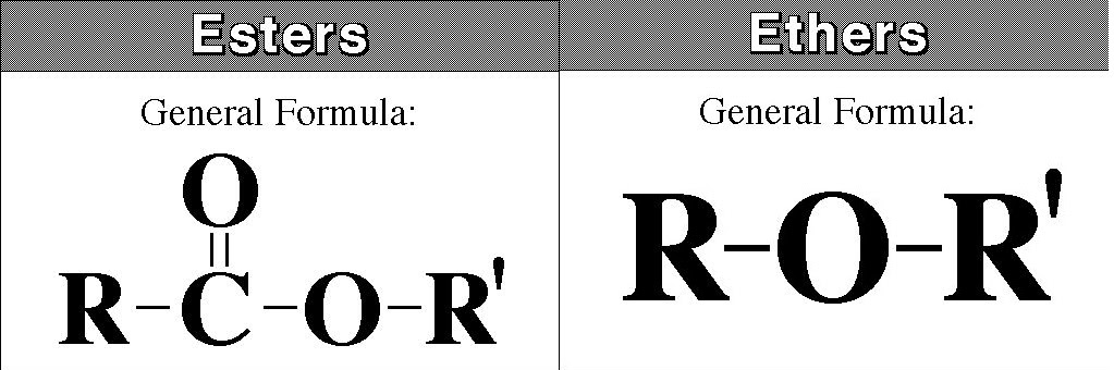 CHEMISTRY 11: ESTERS!