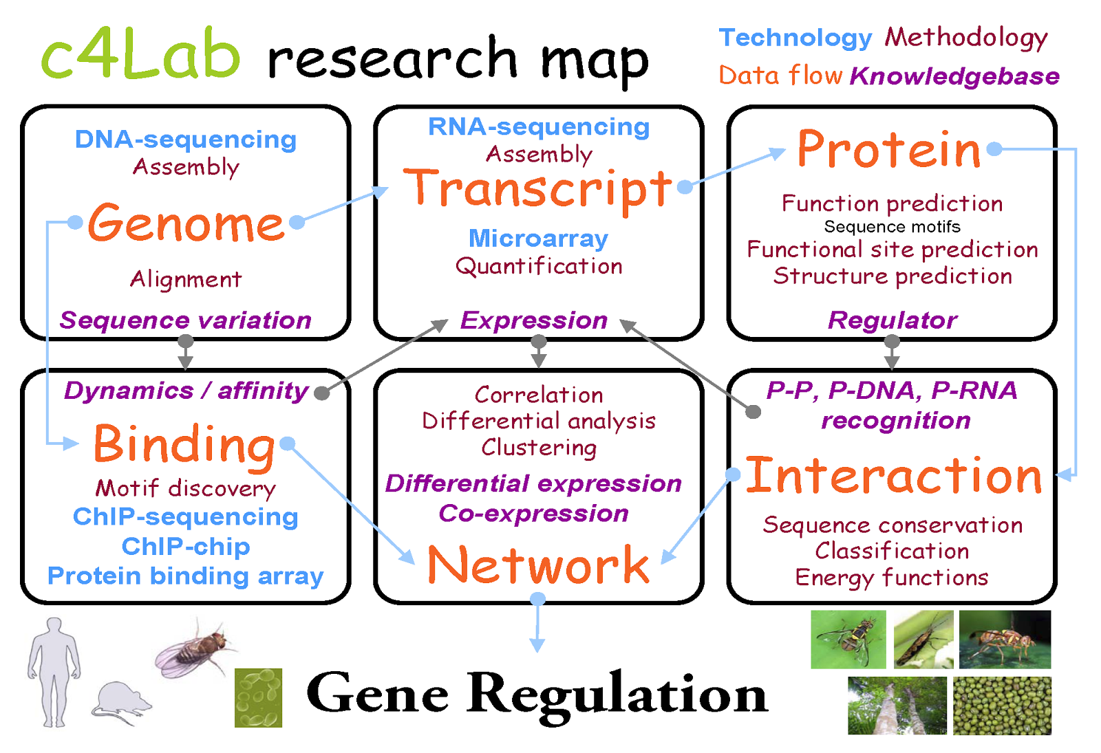 c4Lab 的 計算與系統生物學 奇幻之旅: c4Lab (2014) research map