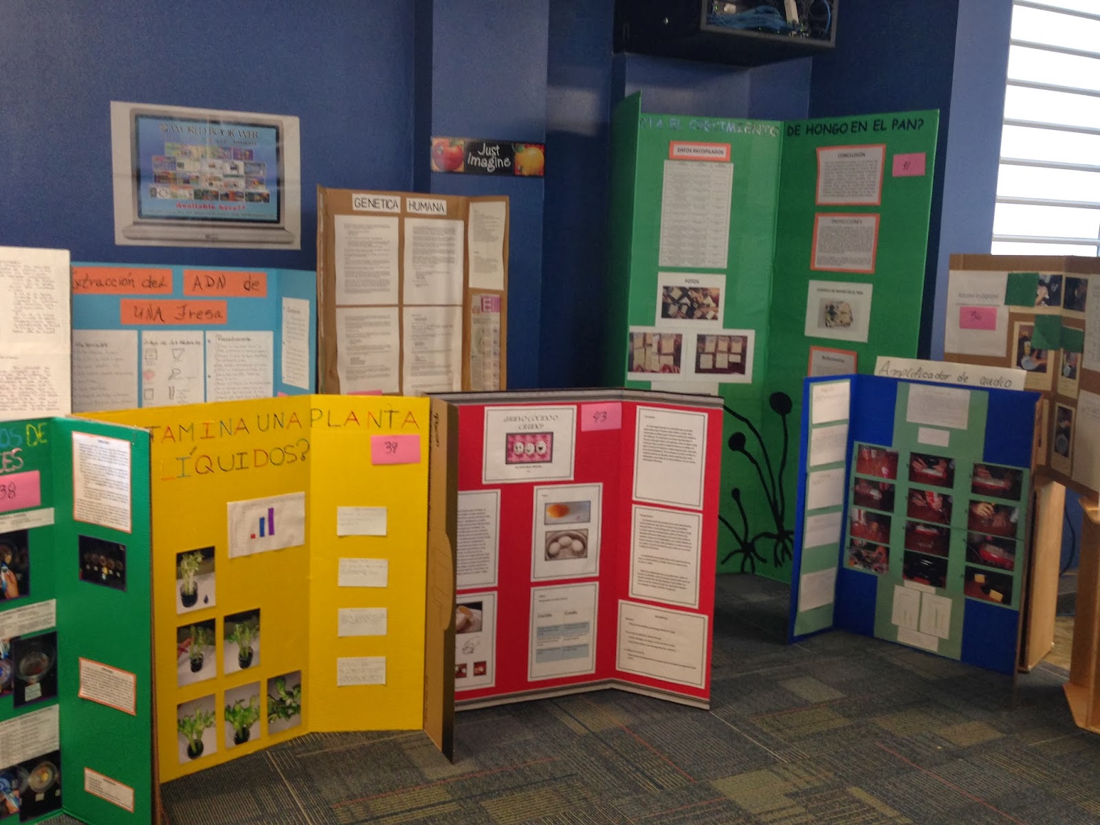 Biblioteca de la Escuela Alfredo Dorrington: Exhibicion de Proyectos de ... Biblioteca de la Escuela Alfredo Dorrington: Exhibicion de Proyectos de ...