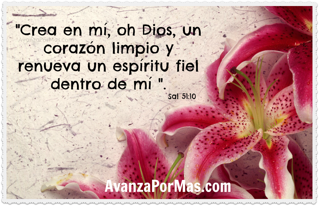 Imagenes Cristianas Nuevas Con Textos Biblicos Imagui - vrogue.co Imagenes Cristianas Nuevas Con Textos Biblicos Imagui - vrogue.co
