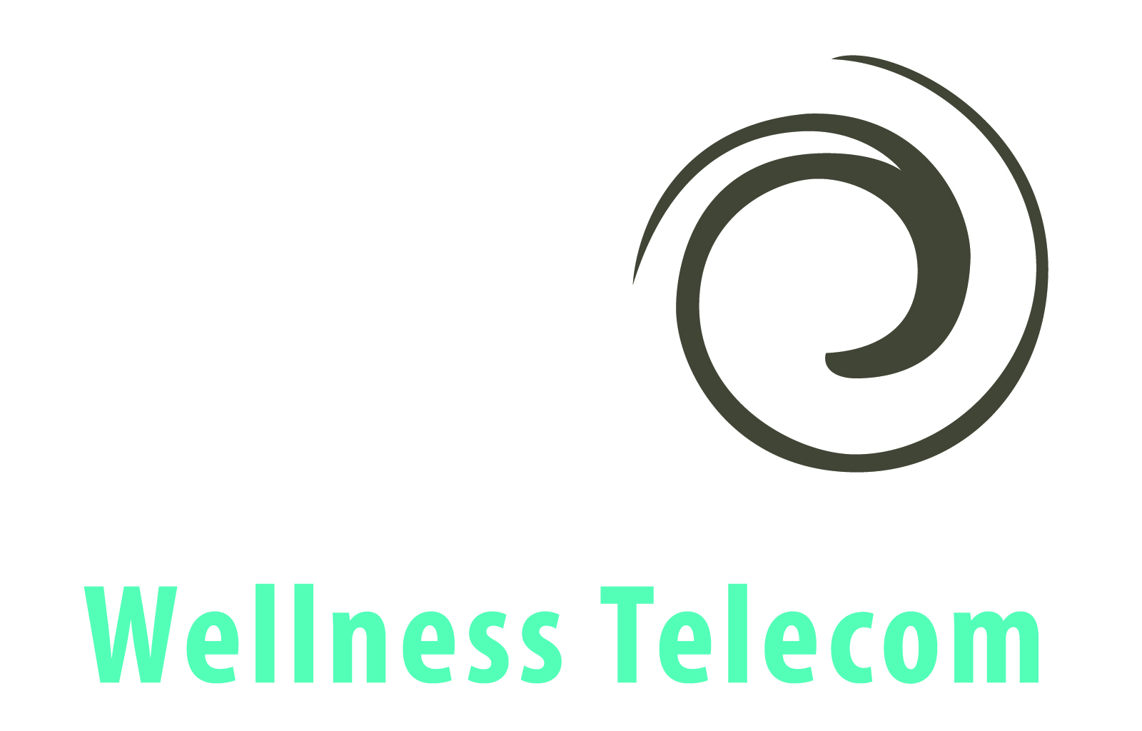 eGARBAGE: Sobre Wellness Telecom