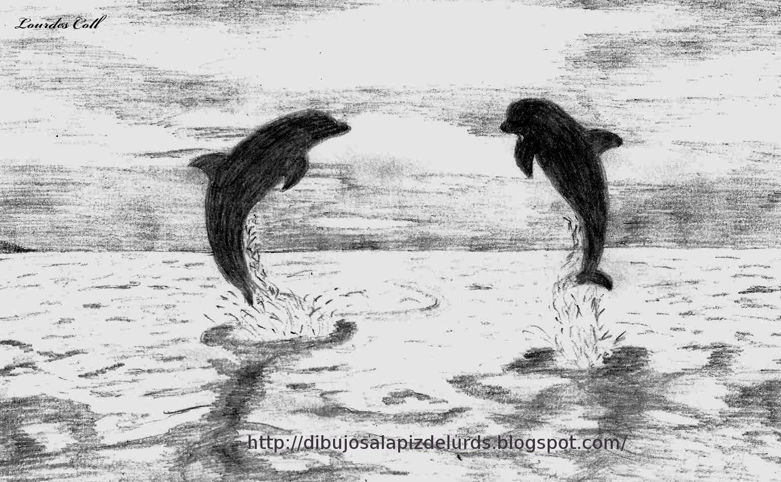 Dibujos a lapiz de delfines - Imagui