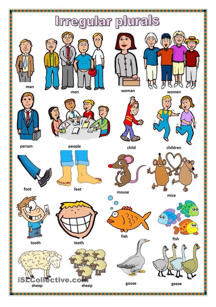 Valanglia EIGHT PLURAL NOUN RULES AND IRREGULAR PLURALS SOME EXAMPLES valanglia-eight-plural-noun-rules-and-irregular-plurals-some-examples