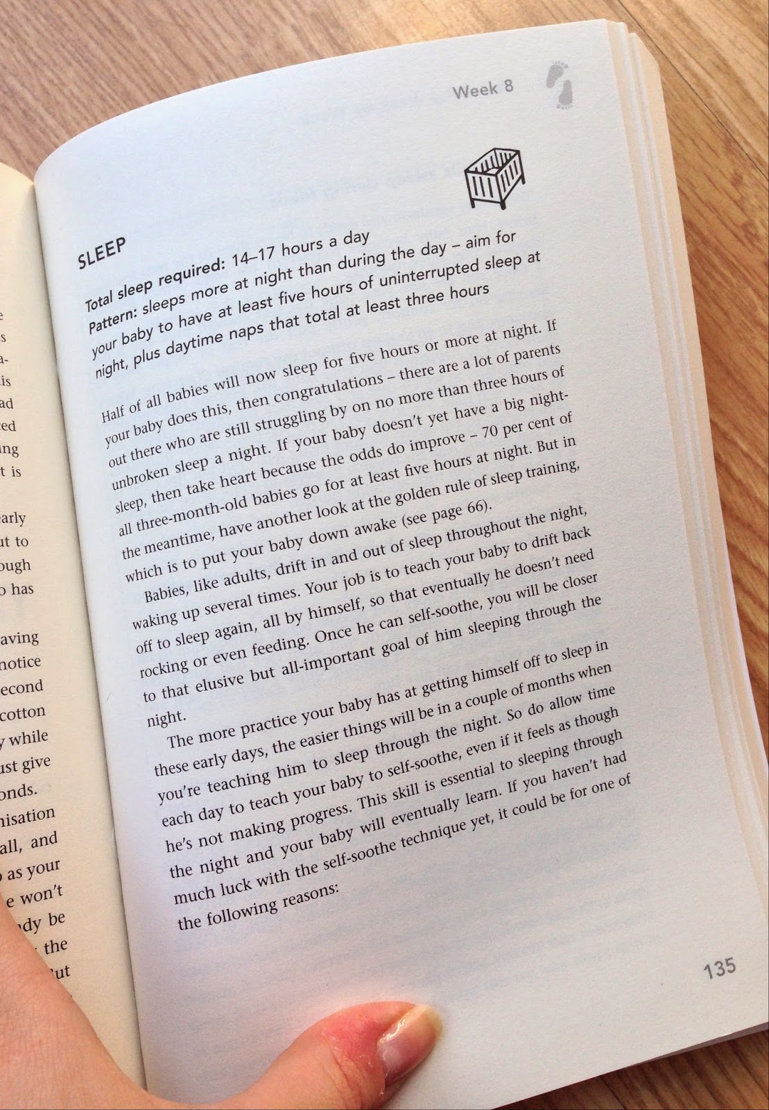 I Am Mumalicious Your Baby Week By Week Book Review i-am-mumalicious-your-baby-week-by-week-book-review