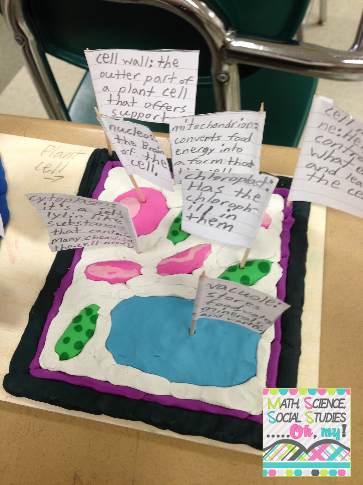 3D Cell Projects | Technically Speaking with Amy