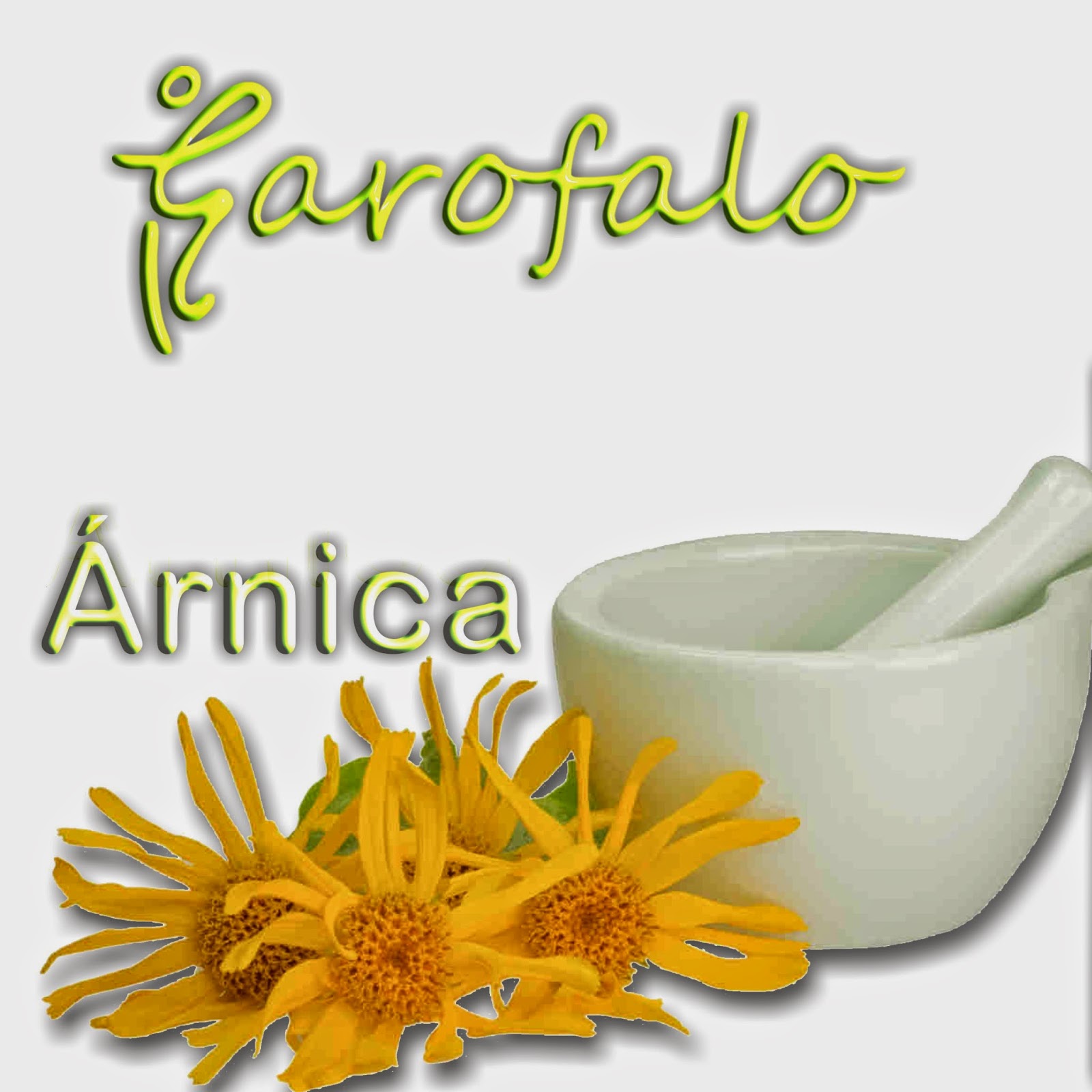 Estética y Nutrición Garofalo.: El Árnica Estética y Nutrición Garofalo.: El Árnica