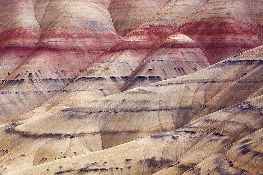 35 Breathtaking Examples Of Patterns In Nature 35-breathtaking-examples-of-patterns-in-nature