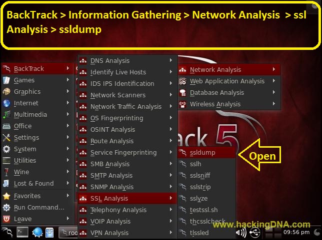 HackingDNA: ssldump on backtrack 5