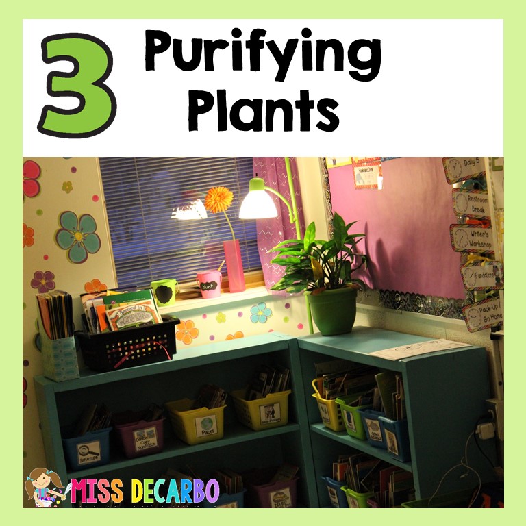 5 Simple Ideas for a Brain-Friendly Classroom - Miss DeCarbo