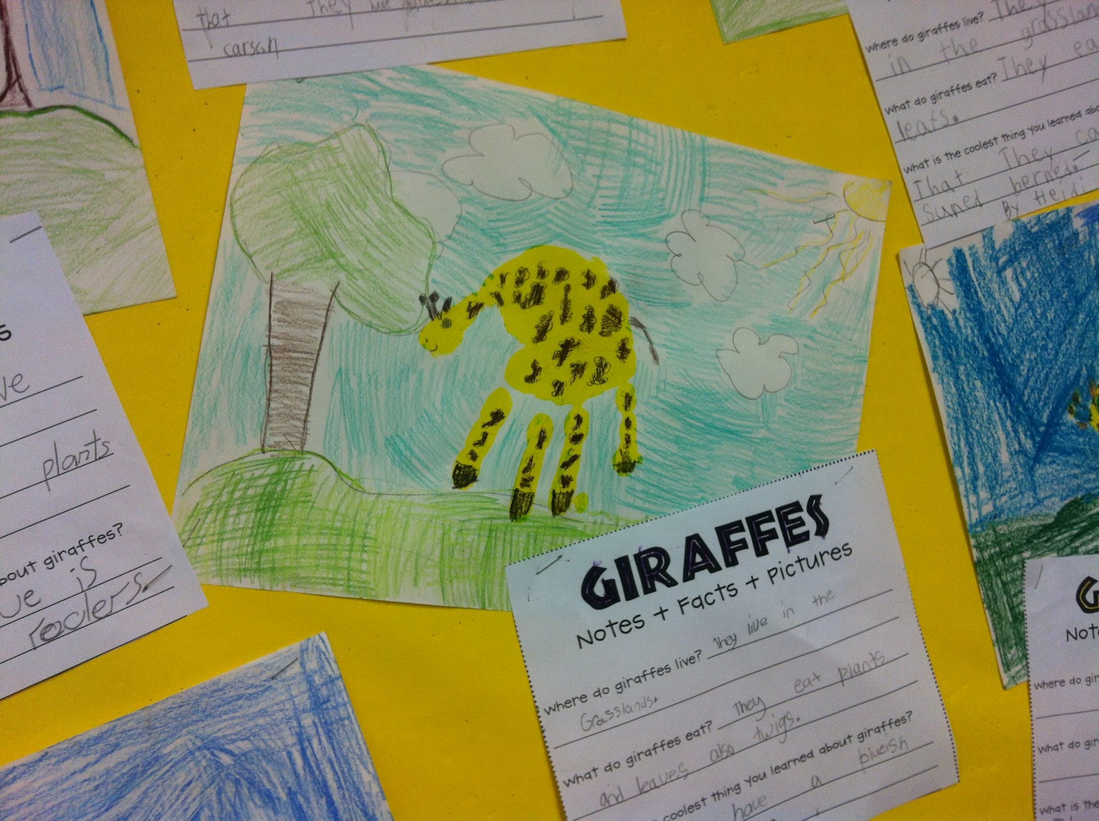 AFRICAN SAFARI + SUPER SUB - Teacher Idea Factory