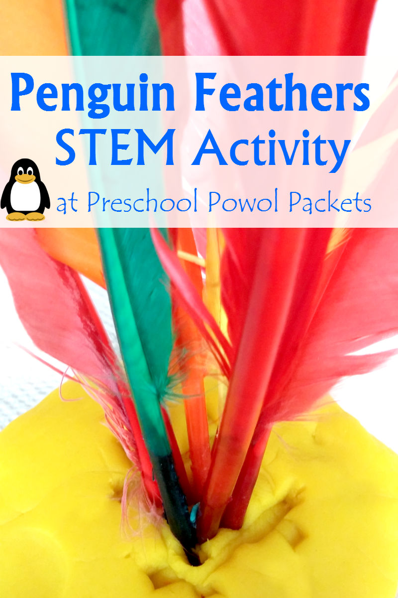 Penguin Feather Science STEM With Preschoolers Preschool Powol Packets penguin-feather-science-stem-with-preschoolers-preschool-powol-packets