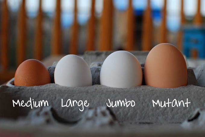 The 7MSN Ranch: What comes after "mutant"?