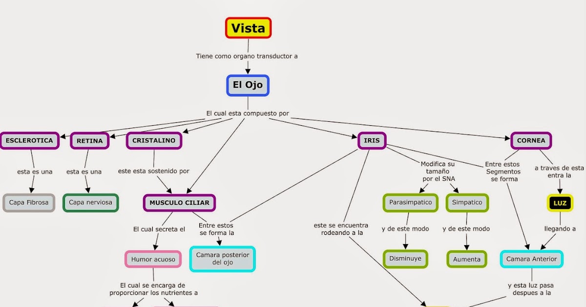 Blog de Fisiologia Medica de Miguel Angel Rivera Arce: Mapa conceptual ... Blog de Fisiologia Medica de Miguel Angel Rivera Arce: Mapa conceptual ...