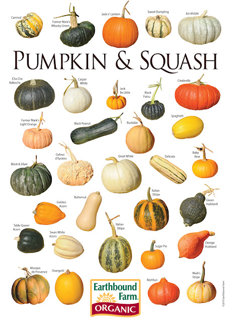 MyScaryBlog Time To Plant Pumpkins myscaryblog-time-to-plant-pumpkins