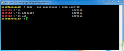 Pato Díaz: Autómatas con Genexus Ev1 en Linux y Windows, y II