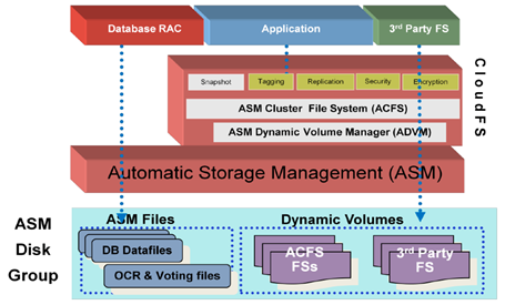 ORACLE HOME: ASM Cluster File System (ACFS)