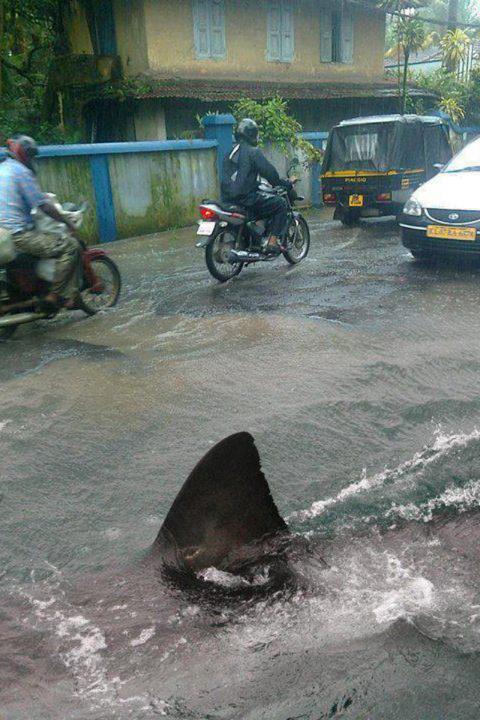 Manila Philippines Flood | Funny Pinoy Jokes ATBP Manila Philippines Flood | Funny Pinoy Jokes ATBP