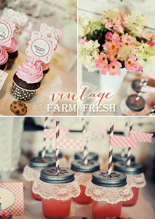 Laine Design Farm Birthday Party Ideas laine-design-farm-birthday-party-ideas