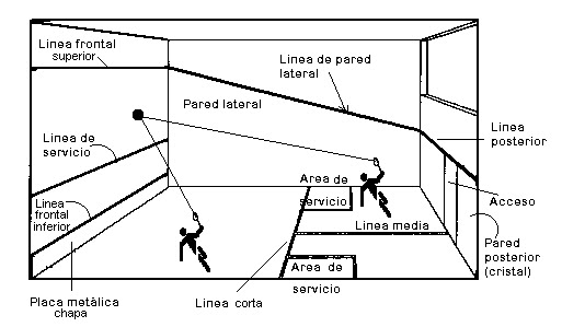 Por favor compensar amplio reglas basicas del squash fácilmente ... Por favor compensar amplio reglas basicas del squash fácilmente ...
