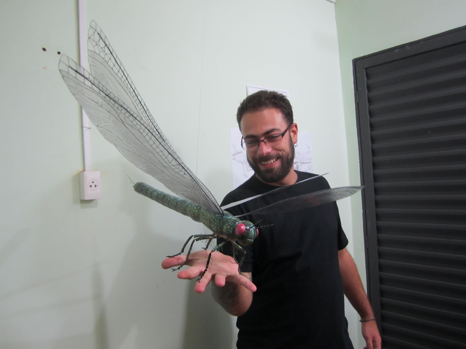 Meganeura - JungleKey.fr Image