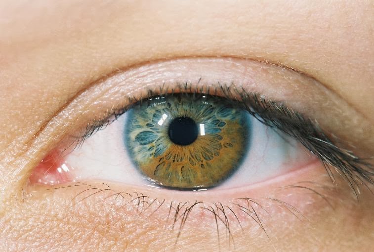 These People Have Strange Eyes For Fum And Interesting Articles Feafum these-people-have-strange-eyes-for-fum-and-interesting-articles-feafum