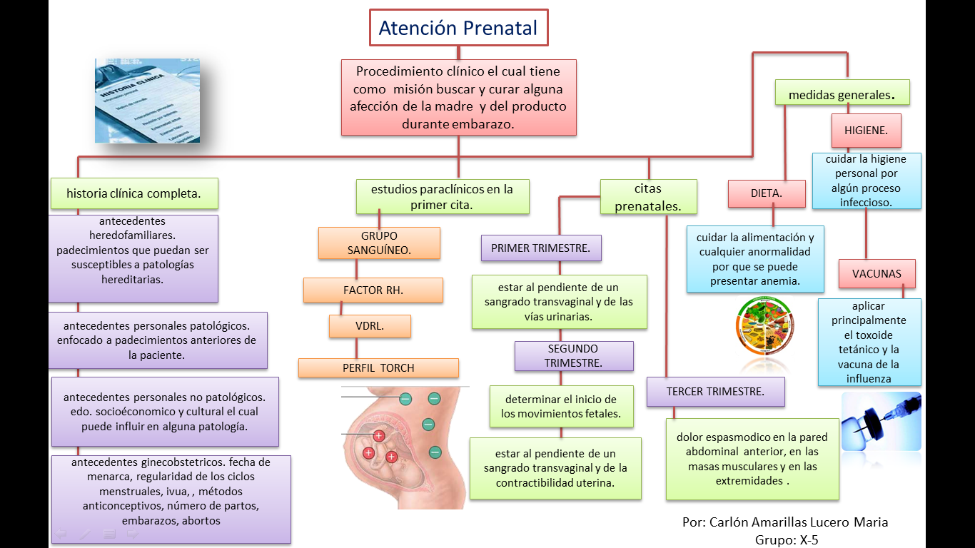 Ginecologia y Obstetricia: Atención Medica Prenatal