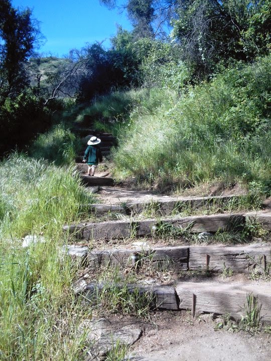 Day Hiking Trails Knowing Type Of Trail You re Day Hiking Can Prove day-hiking-trails-knowing-type-of-trail-you-re-day-hiking-can-prove
