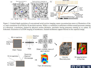 Nuit Blanche: Super-resolution using Sparse Representations over Learned Dictionaries ...