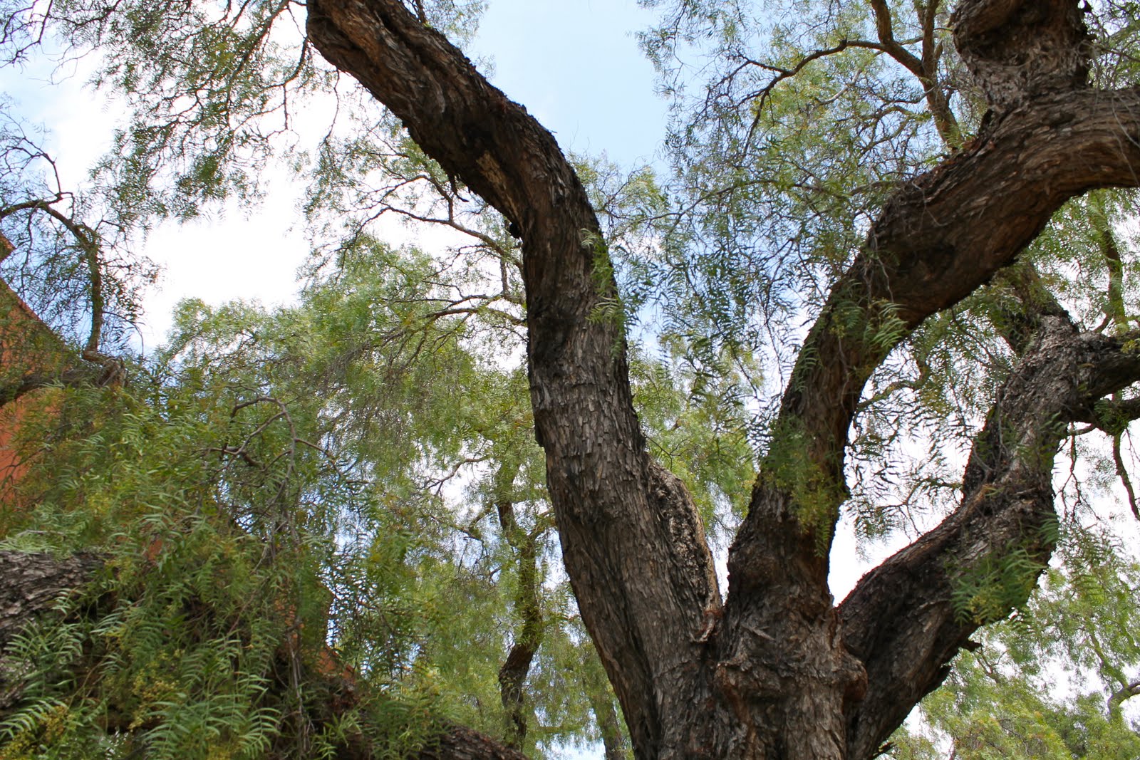 Lovingly Simple: July 2011