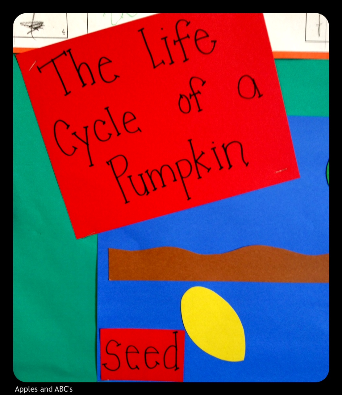 Learning About Pumpkins - Apples & ABC's