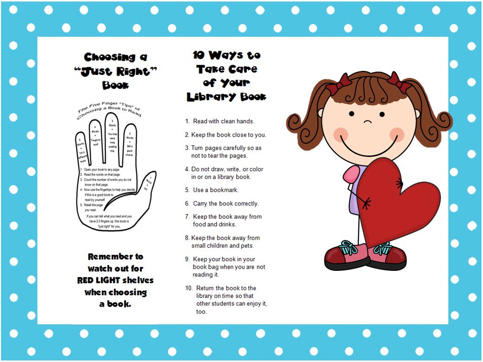 The Book Bug: Book Care